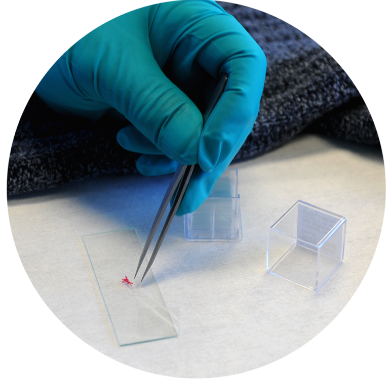 Leeds Micro – Your Forensic Imaging Source